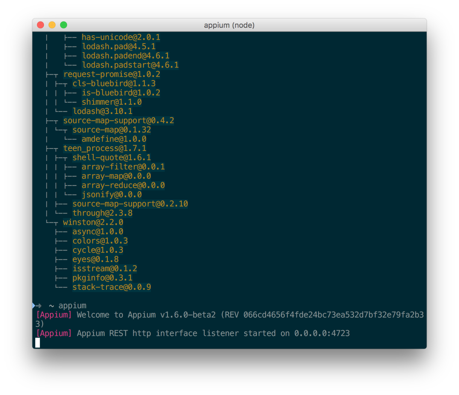 How to run Appium iOS Tests on Real Devices? | BrowserStack