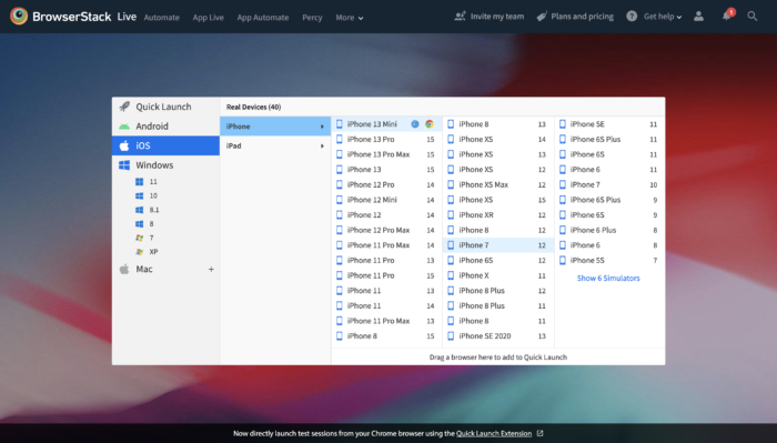 How to find max number of bugs in a software | BrowserStack