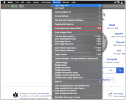 How to enable Responsive Design Mode in Safari and Firefox? | BrowserStack