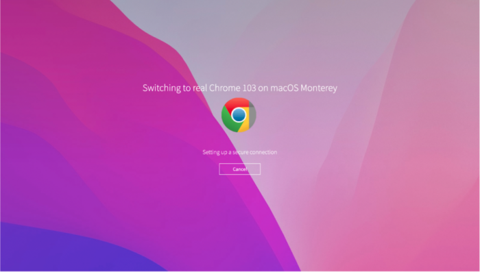 Test Cases for an ECommerce Website | BrowserStack