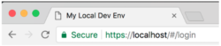 Test HTTPS Websites from Local Host: Tutorial | BrowserStack