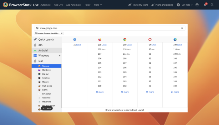 Test Environment: A Beginner's Guide | BrowserStack