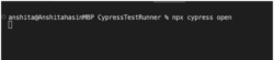 Cypress Test Runner: Tutorial | BrowserStack