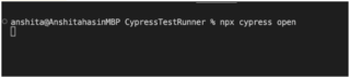 Cypress Test Runner: Tutorial | BrowserStack