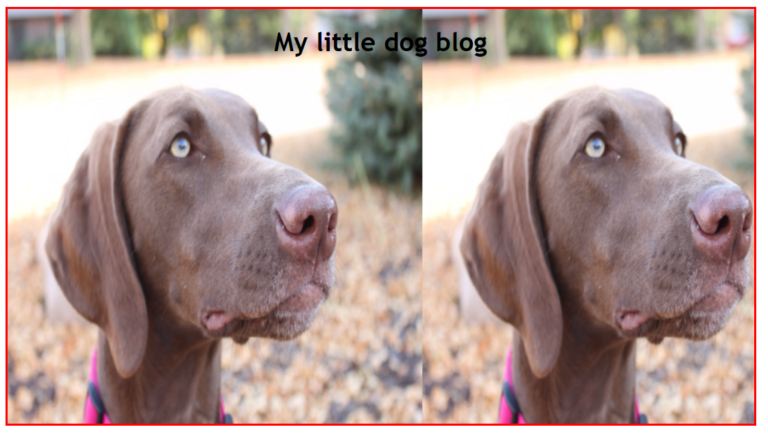 How To Resize An Image Using Css Browserstack
