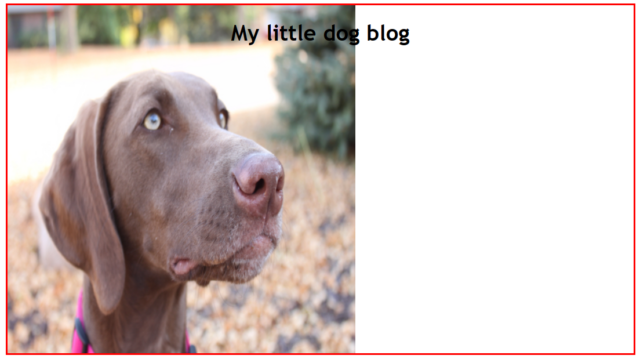 How To Resize An Image Using Css Browserstack