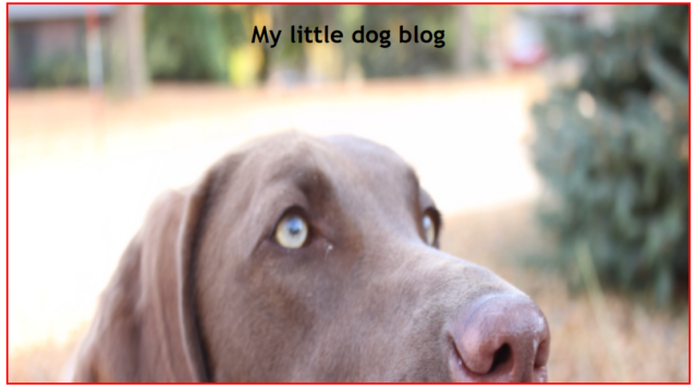 How to resize an image using CSS | BrowserStack