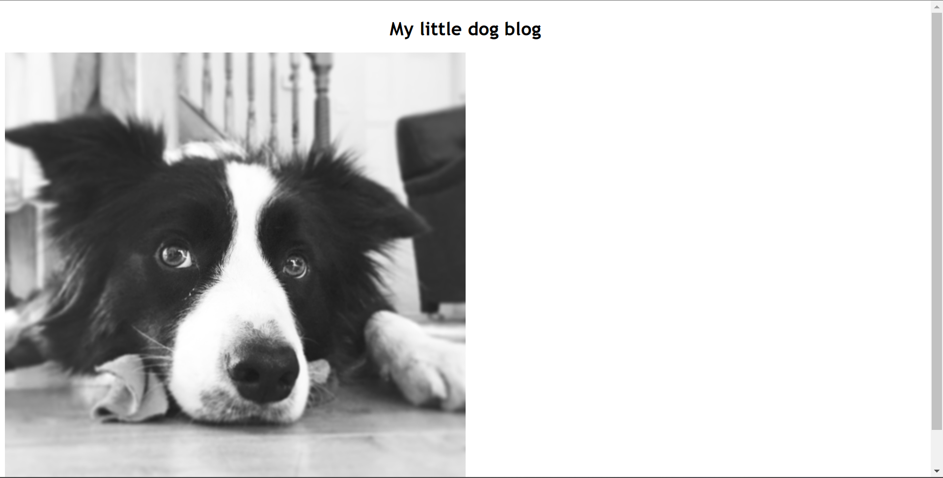 How To Resize An Image Using Css Browserstack