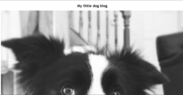How To Resize An Image Using Css Browserstack