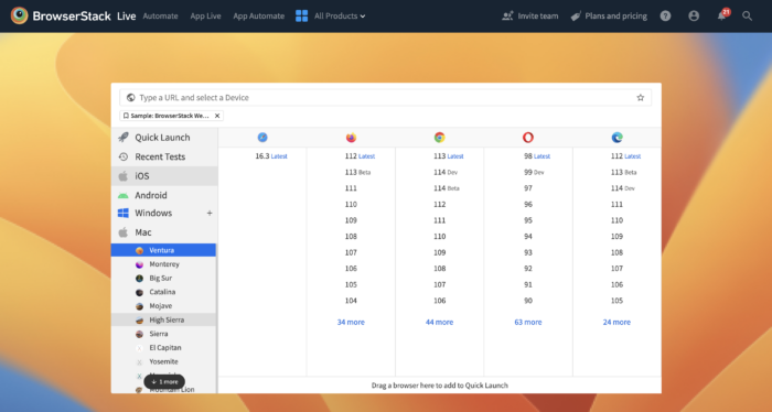 What is System Testing? (Examples, Use Cases, Types) | BrowserStack