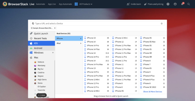How to find Bugs in Software? | BrowserStack