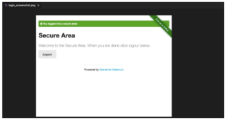 Puppeteer Type Command: How to type a text in input box in Puppeteer | BrowserStack