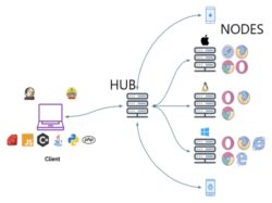 Selenium Testing: Detailed Guide | BrowserStack
