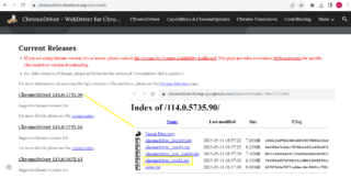 How to run Selenium tests on Chrome using ChromeDriver? | BrowserStack