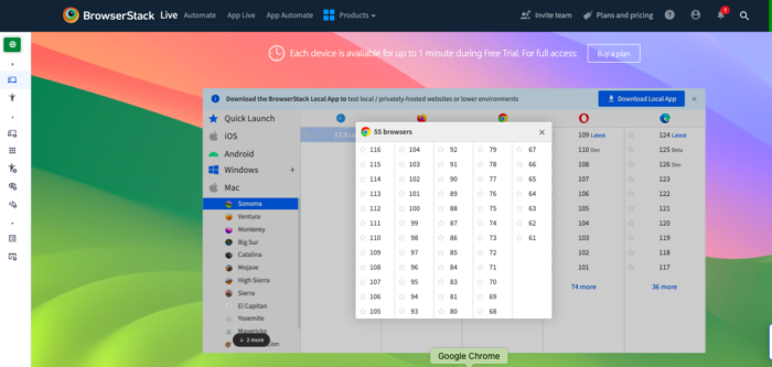 How to Downgrade Chrome to Older Versions? | BrowserStack