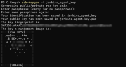 How to set up Jenkins Docker Agent? | BrowserStack