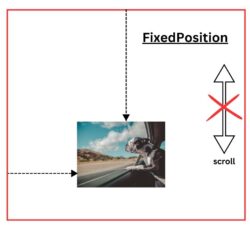 How to change Position of Image in HTML | BrowserStack