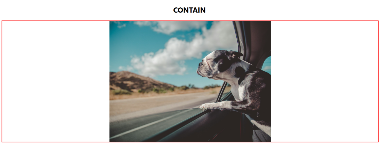 How to change Position of Image in HTML | BrowserStack