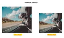 How to change Position of Image in HTML | BrowserStack
