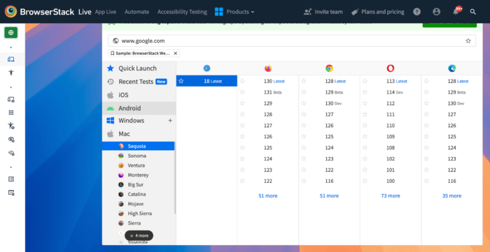 How to use Devtools for Safari Mobile View in 2026? | BrowserStack
