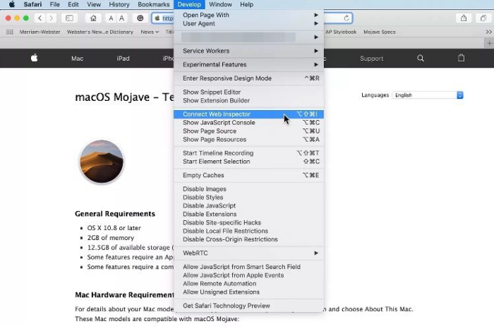 What is Web Inspector on iPhone? | BrowserStack