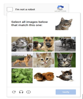 Captcha Test Case | BrowserStack