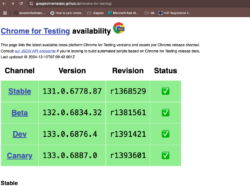 How to Download and Set Up Selenium WebDriver | BrowserStack