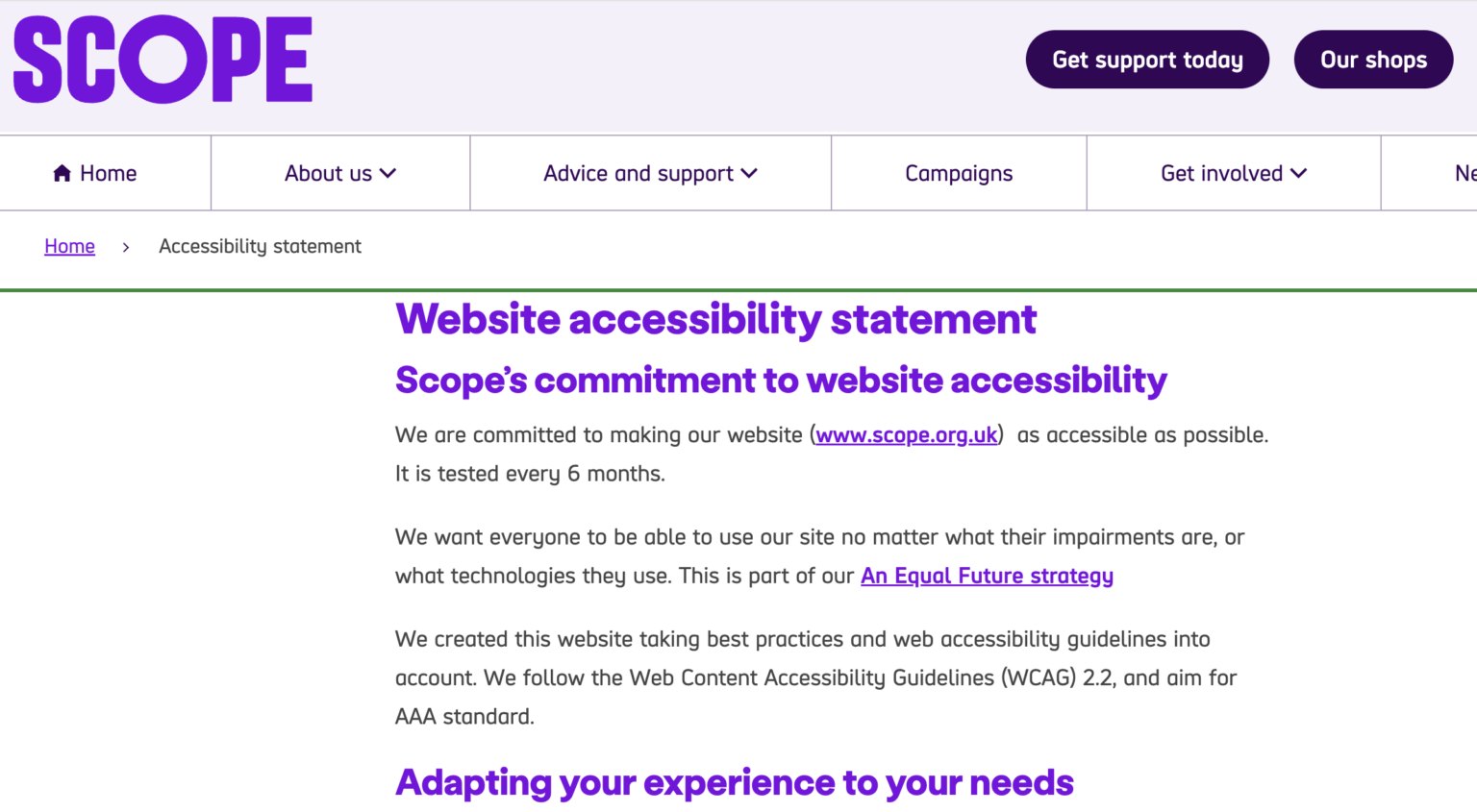 Top 15 Examples of Accessibility Websites | BrowserStack