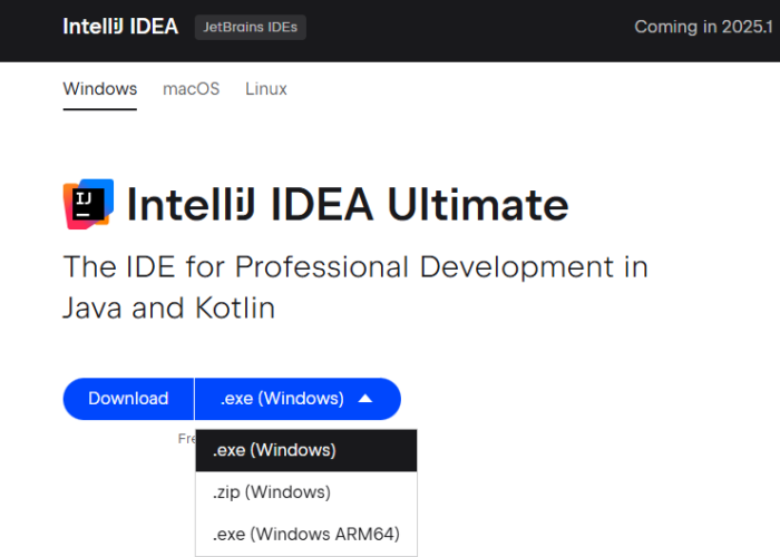How to install Selenium in Intellij? | BrowserStack