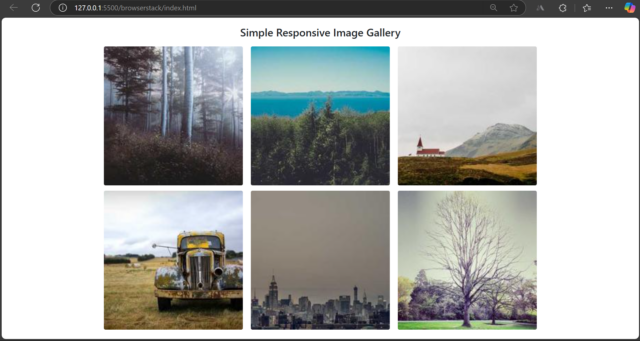 How to Build a Responsive Image Gallery with HTML and CSS | BrowserStack