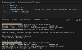 How to Update a Specific Package using npm | BrowserStack