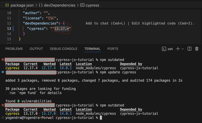 How to Update a Specific Package using npm | BrowserStack