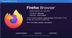 How to Check Firefox Version? | BrowserStack
