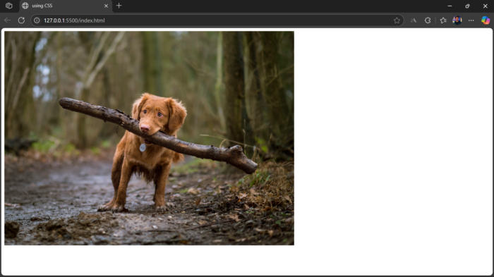 How to Make Image Smaller in HTML | BrowserStack
