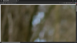 How to Make Image Smaller in HTML | BrowserStack
