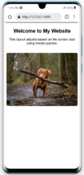 How to Make Image Smaller in HTML | BrowserStack