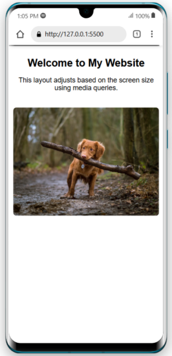 How to Make Image Smaller in HTML | BrowserStack