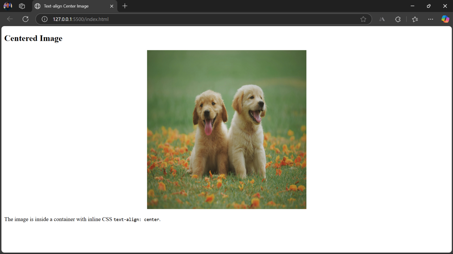 How to Align an Image in Centre in HTML and CSS | BrowserStack