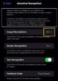 How to Enable Screen Reader on iOS Devices | BrowserStack