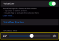 How to Enable Screen Reader on iOS Devices | BrowserStack