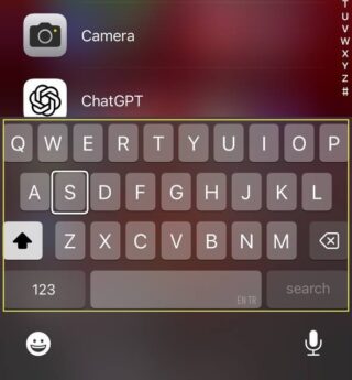 How to Enable Screen Reader on iOS Devices | BrowserStack