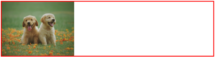 How to resize an image using CSS | BrowserStack