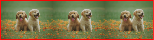 How to resize an image using CSS | BrowserStack