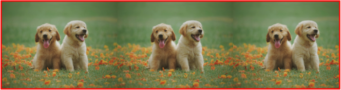 How to resize an image using CSS | BrowserStack