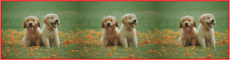 How to resize an image using CSS | BrowserStack