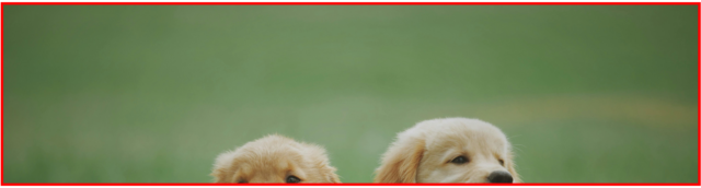 How to resize an image using CSS | BrowserStack