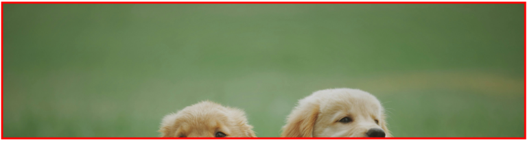 How to resize an image using CSS | BrowserStack